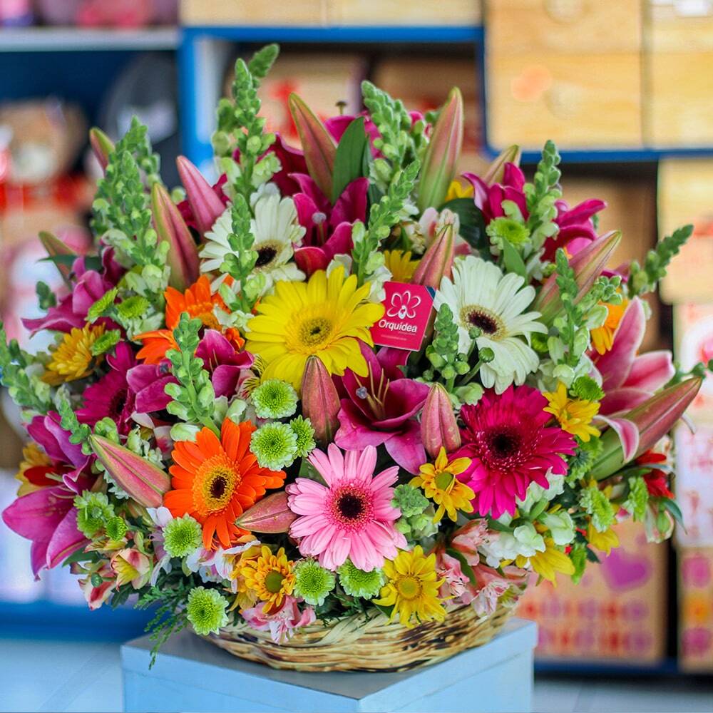 Canastas Mixta Premium | Orquídea Boutique Floral